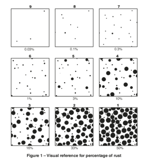 Test Procedure, Acceptance Criteria - Steel Doors & Frames Finish Coat